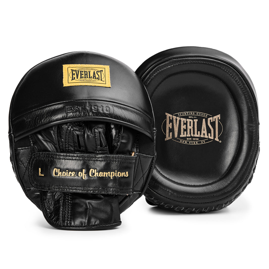 Punching & Strike Shields | Boxing pads, body protectors and more ...