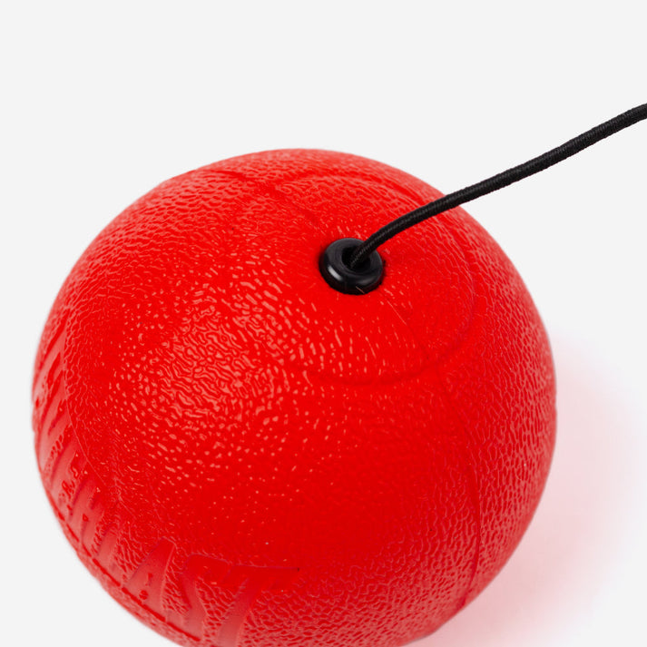 Powerlock Reflex Ball – Everlast